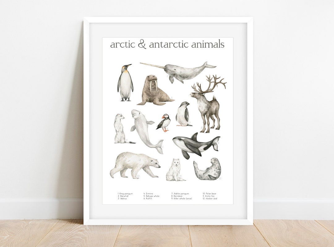 Educational Arctic Print, Playroom Print, PRINTABLE Wall ART, Learning ...