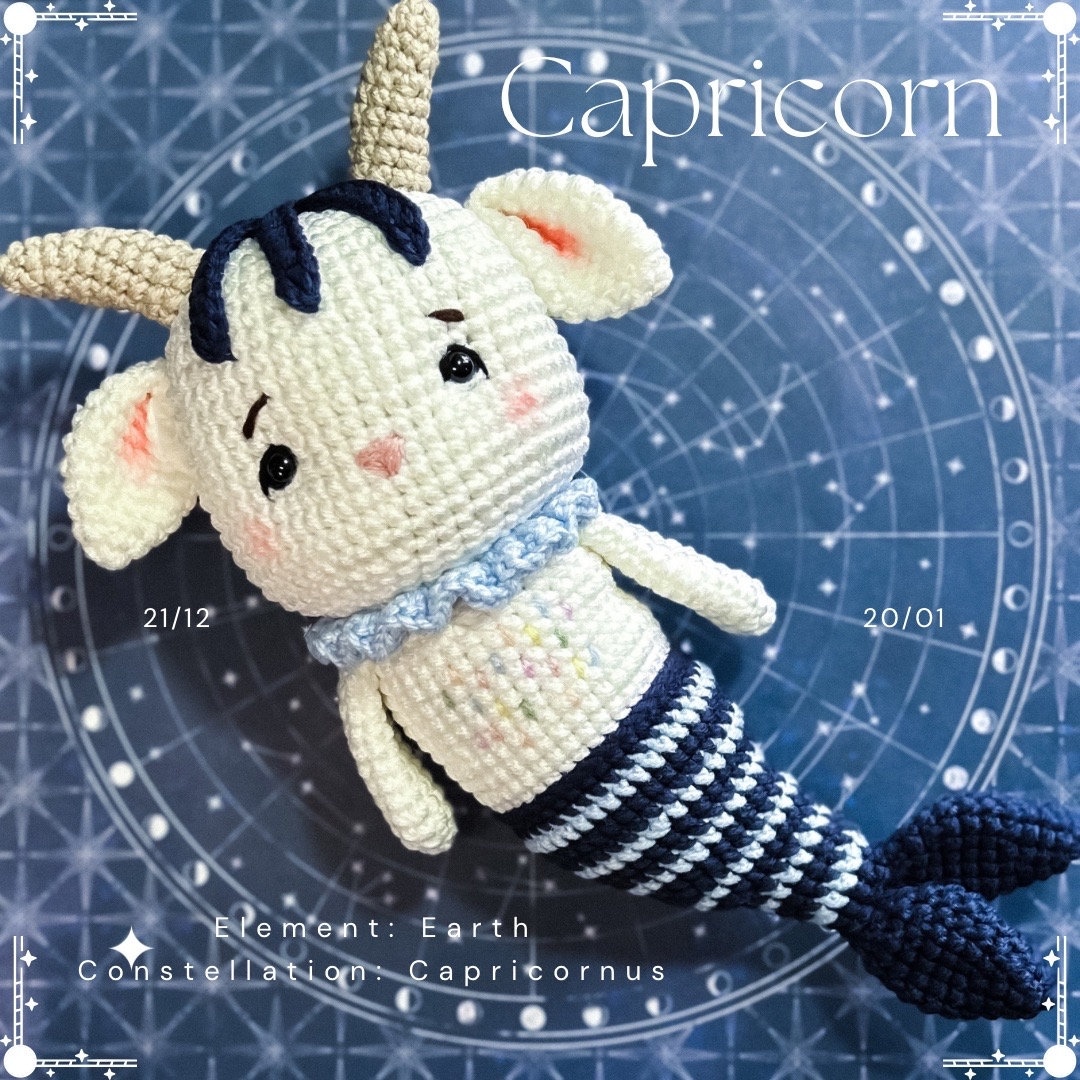 Capricorn Zodiac Zodiac Gifts Birthday Present Made to Order - Etsy Finland