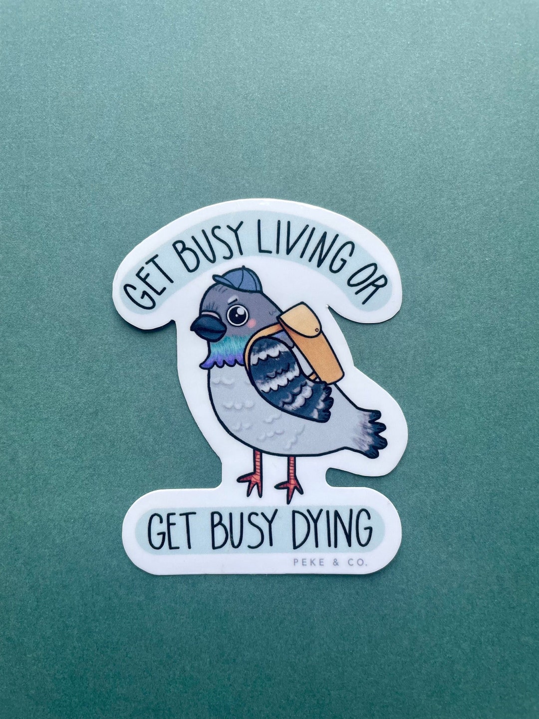 Pigeon Sticker | Funny Animal Sticker - Gifts for Bird Lovers ...