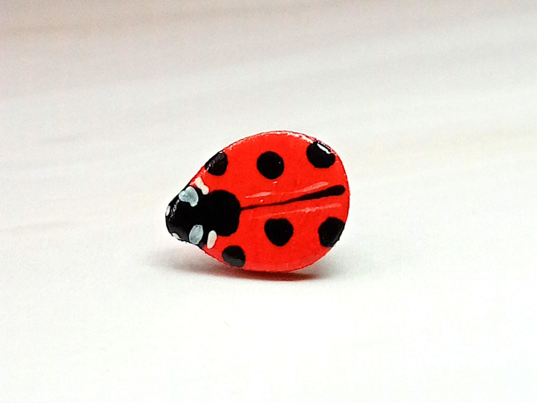 Lucky Ladybird Pin, Handmade Ladybug Pin, Hand Painted Good Luck Gift ...