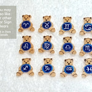 Capricorn Zodiac Gift, Handmade Star Sign Pin, Horoscope Badge ...