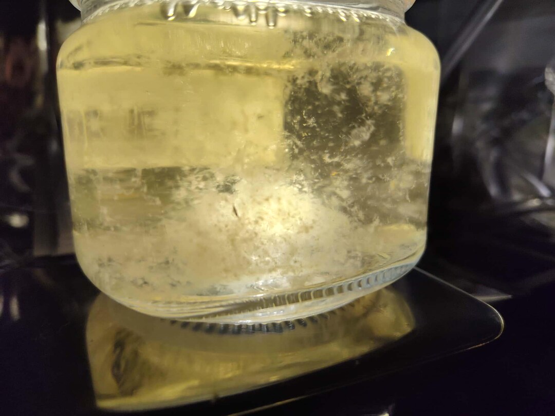The Omnifungal Accelerator 6-jar Master Library | Fully Colonized ...