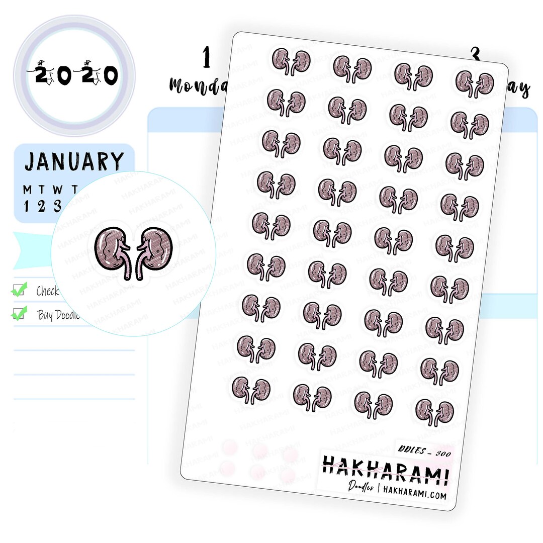 Kidney Planner Stickers Nephrologist Urologist Doctor - Etsy