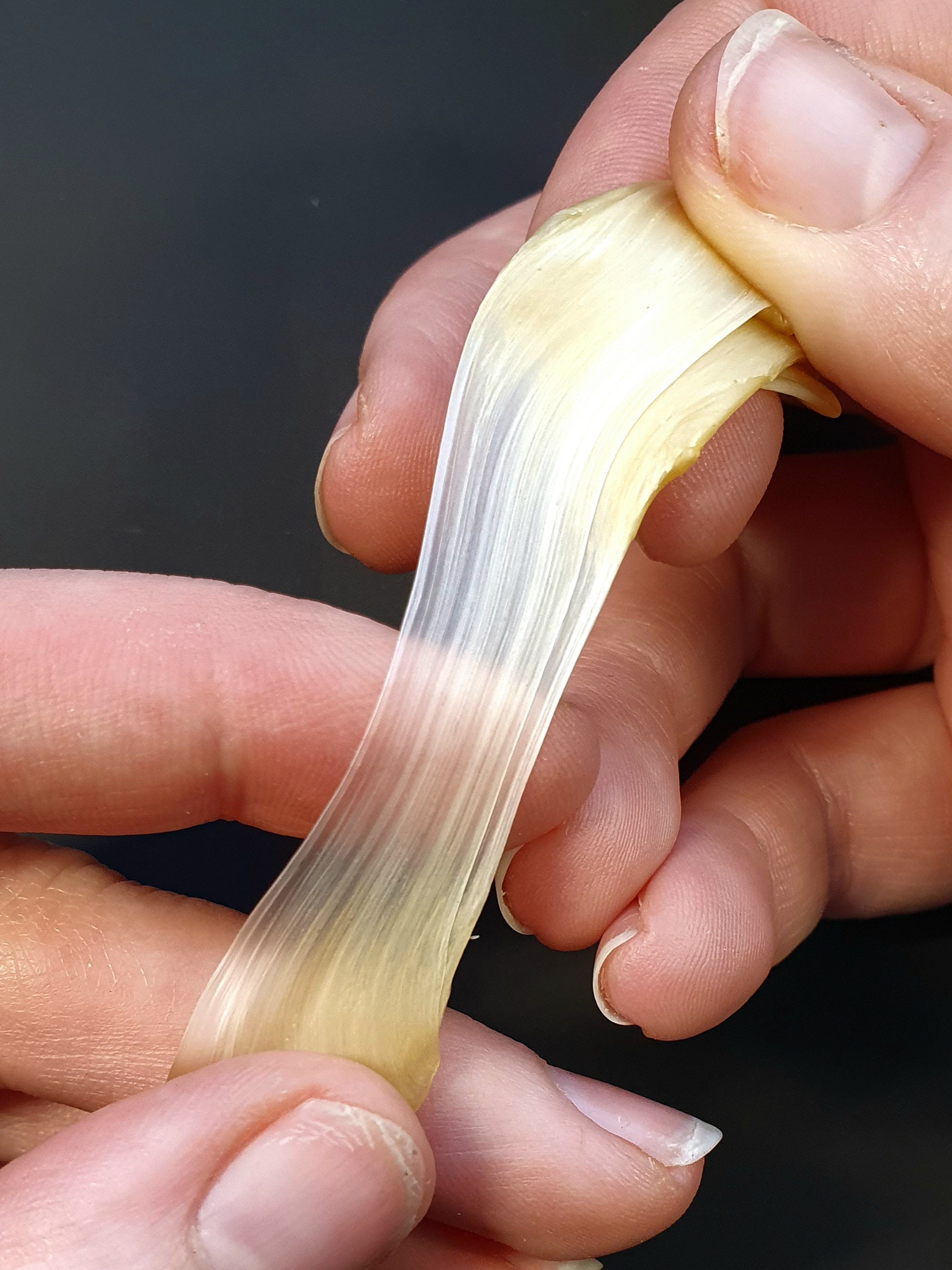 Mitsuro Hikime Wax Tutorial DIGITAL DOWNLOAD, Mitsuro Recipe, Lost Wax ...