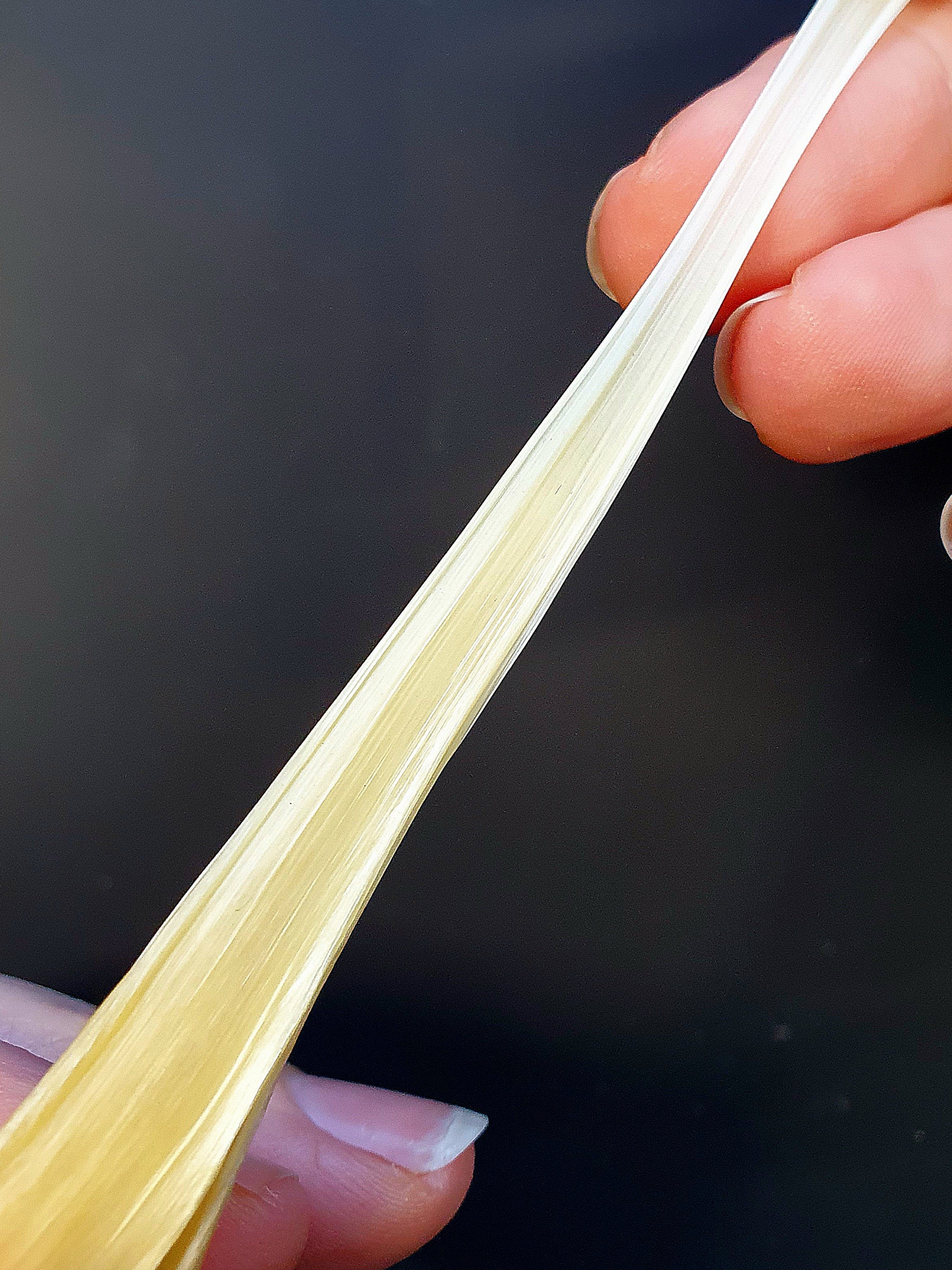 Mitsuro Hikime Wax Tutorial DIGITAL DOWNLOAD, Mitsuro Recipe, Lost Wax ...