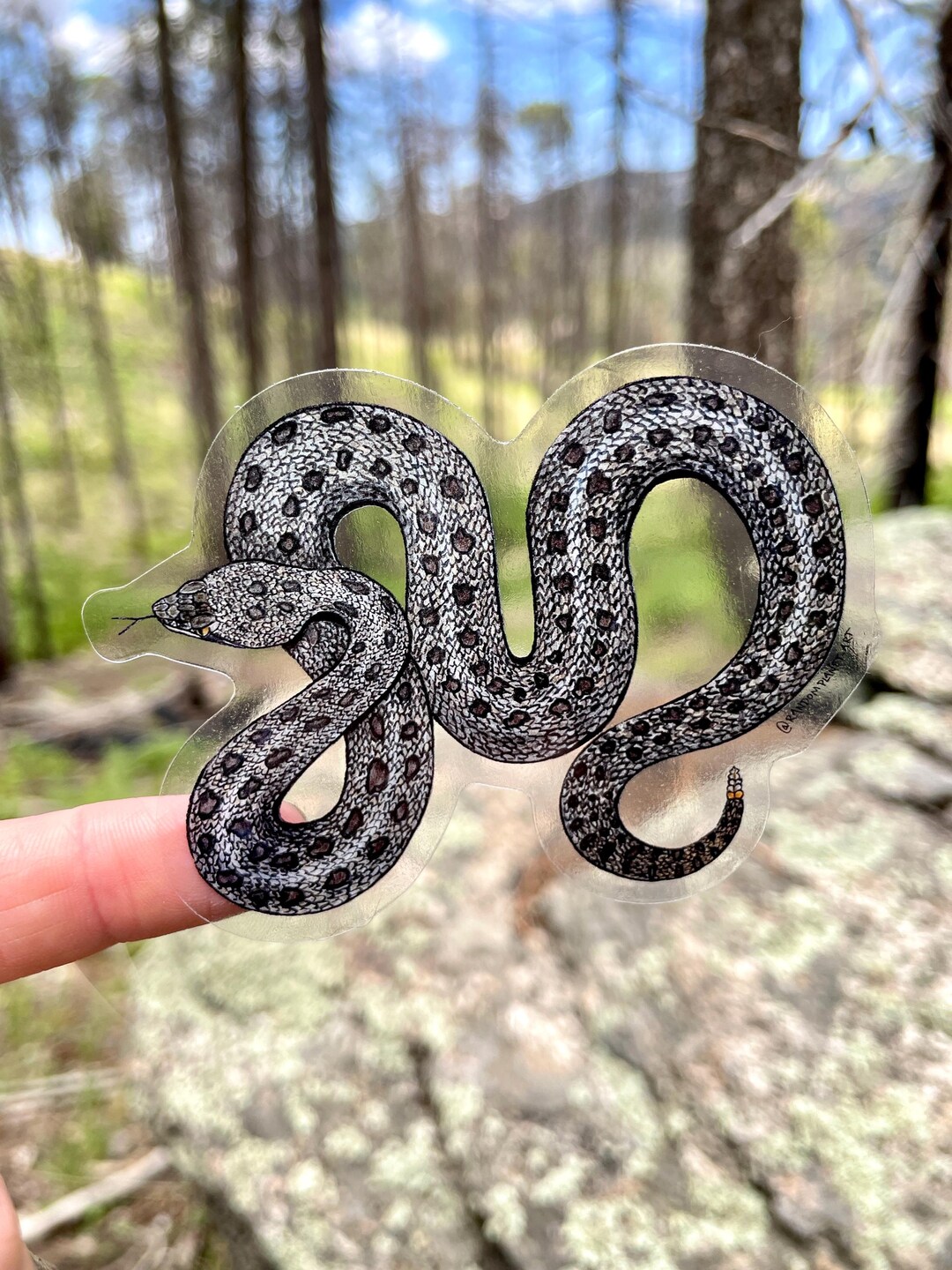Twin-spotted Rattlesnake Sticker - Etsy