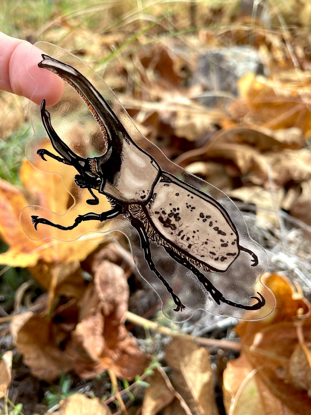 Western Hercules Beetle Sticker - Etsy