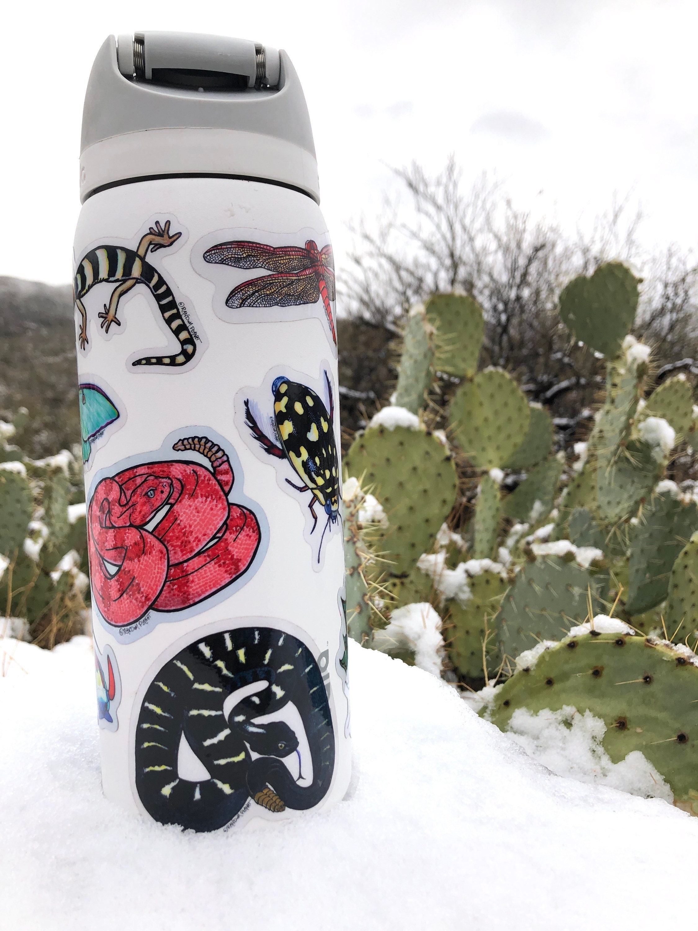 Arizona Black Rattlesnake Sticker - Etsy