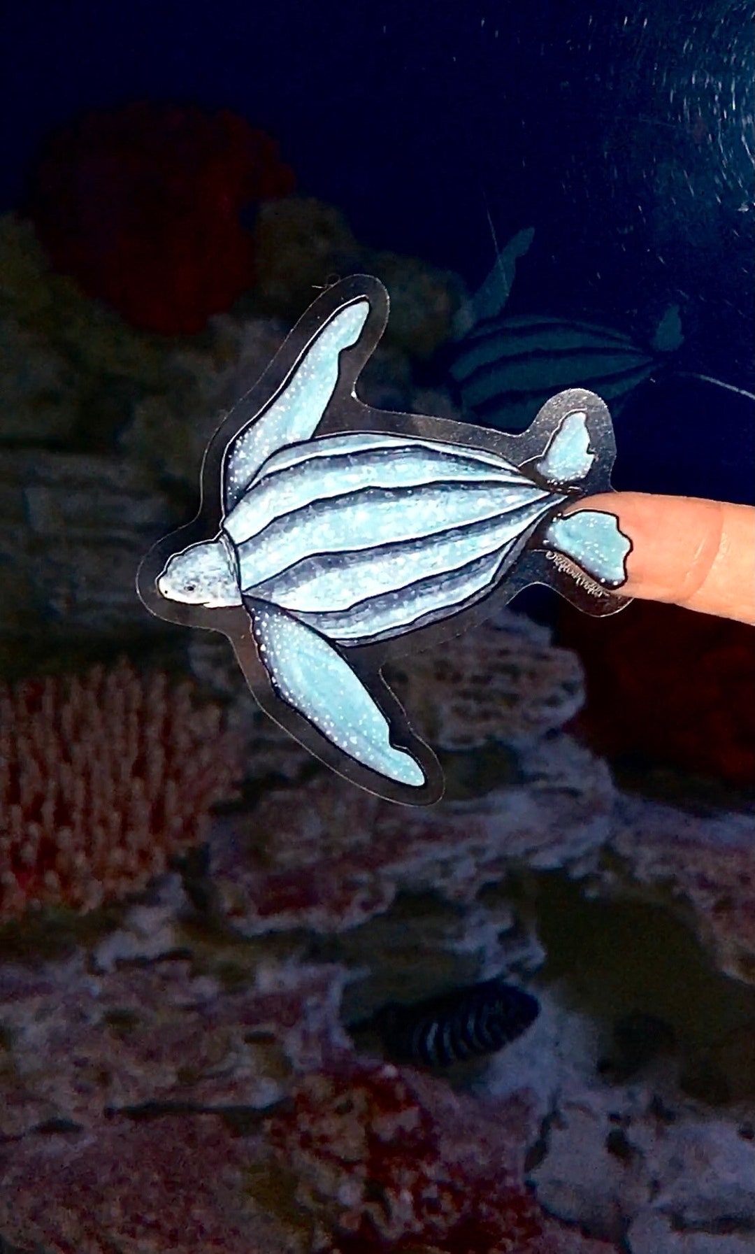 Leatherback Sea Turtle Sticker - Etsy