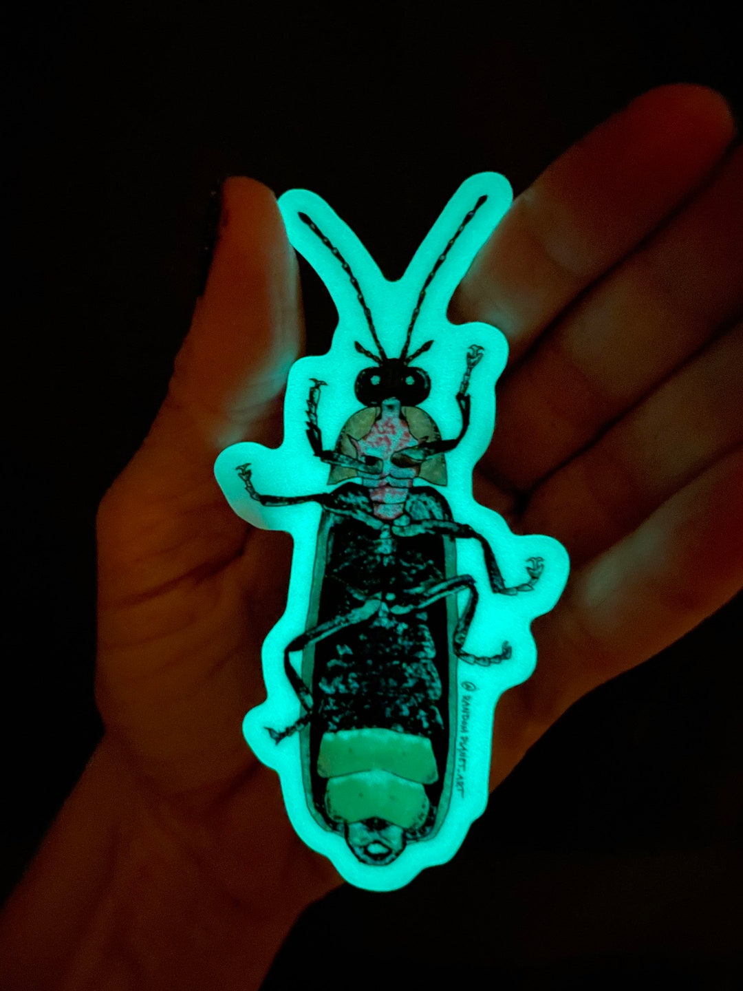 Arizona Firefly Sticker - Etsy