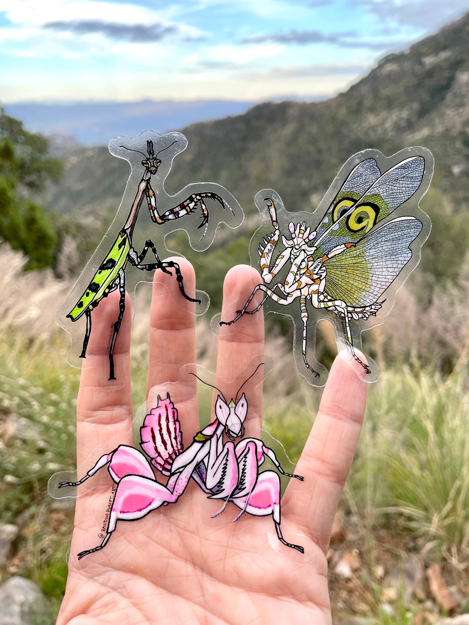 Mantis Trio Sticker Pack - Etsy