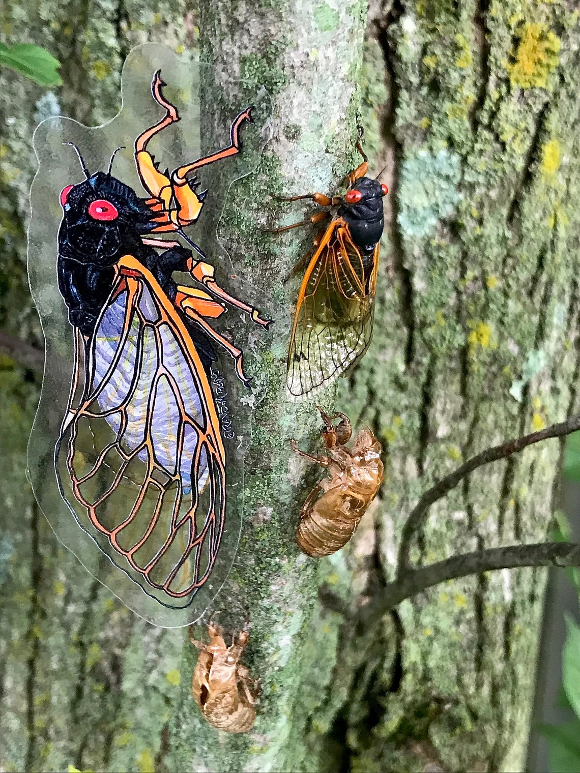 Cicada Trio Sticker Pack - Etsy