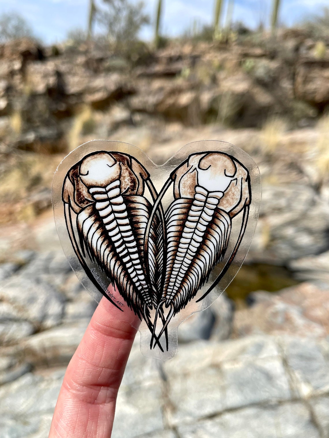 Trilobite Heart Sticker - Etsy