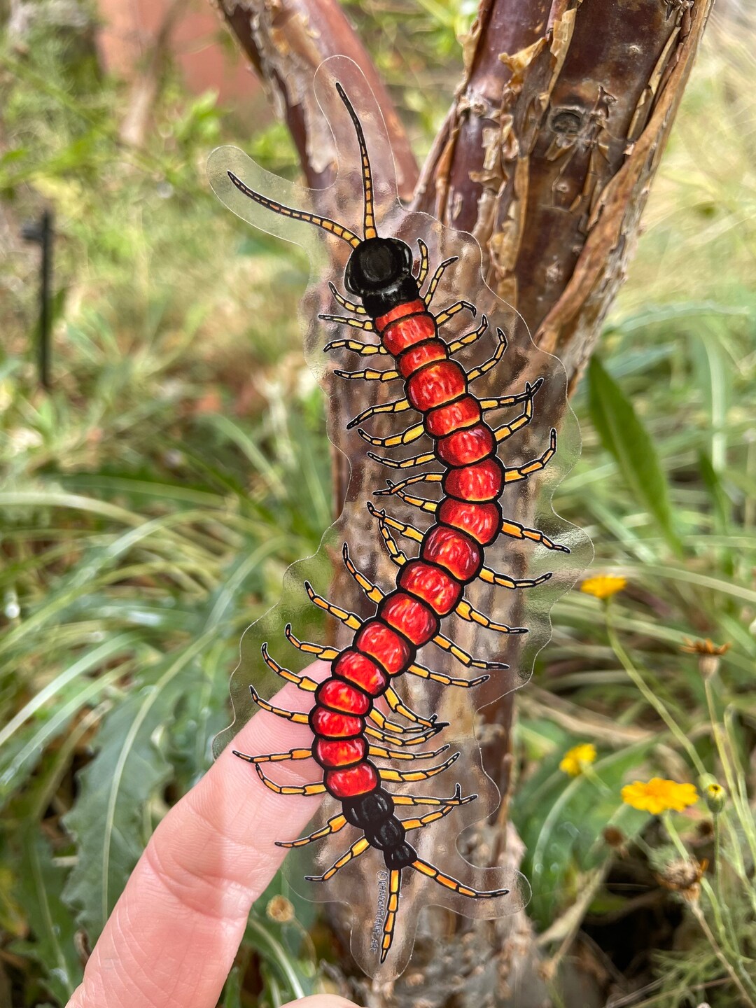 Giant Desert Centipede Sticker - Etsy