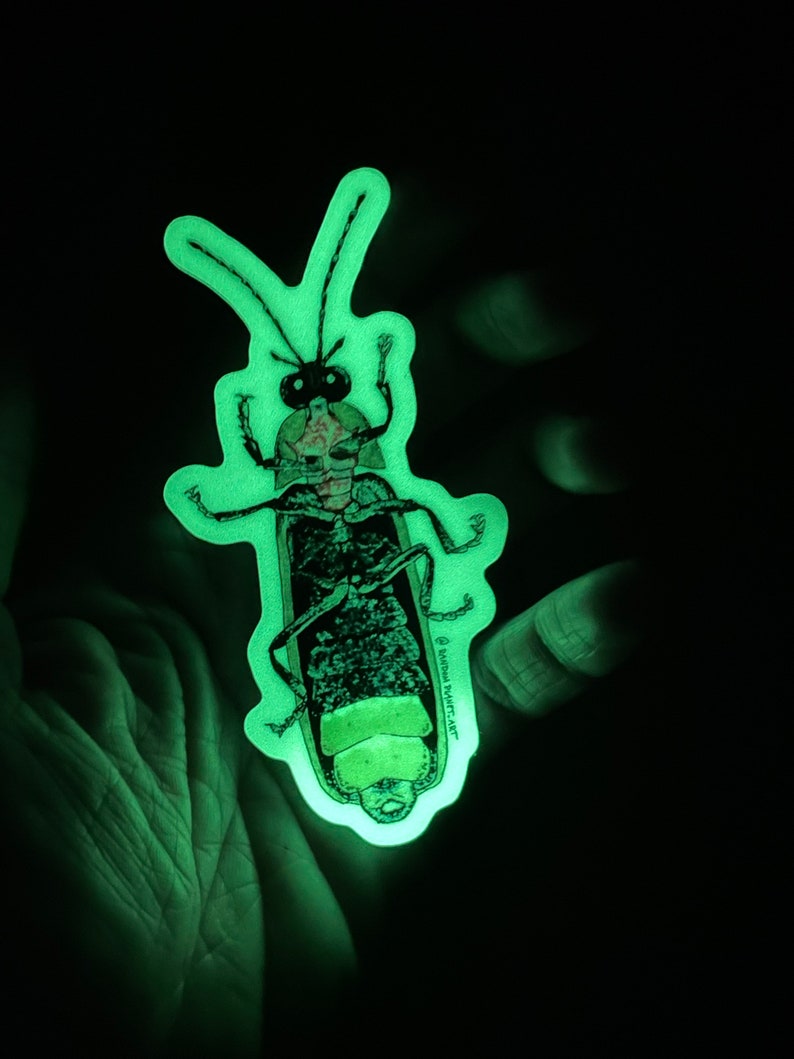 Arizona Firefly Sticker - Etsy