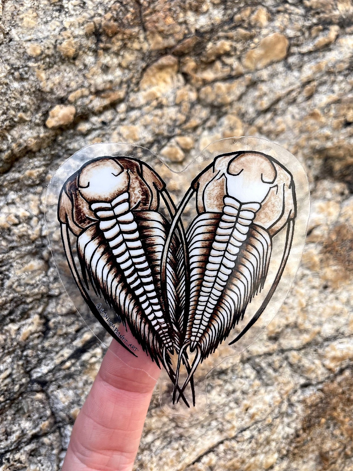 Trilobite Heart Sticker - Etsy