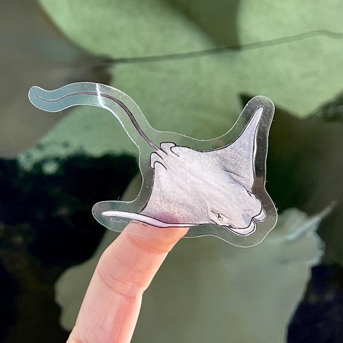 Manta Ray Sticker Stingray Sticker Ocean Sticker Vinyl - Etsy