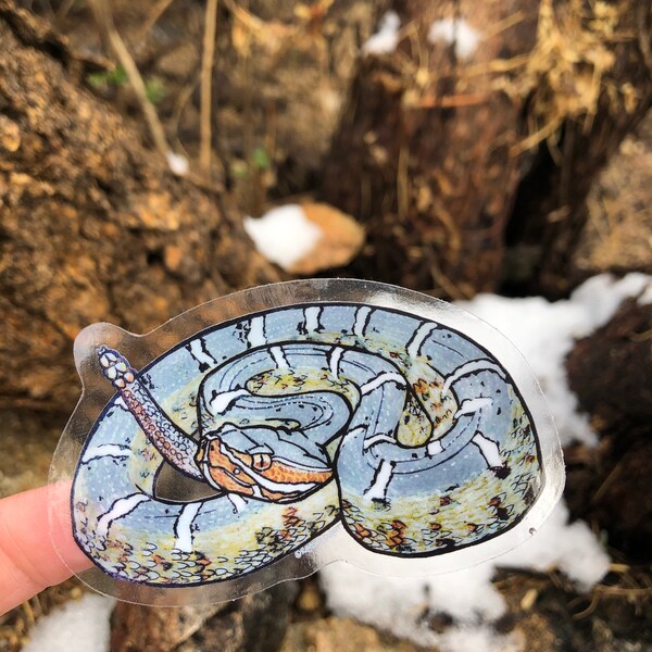 Rattlesnake - Etsy