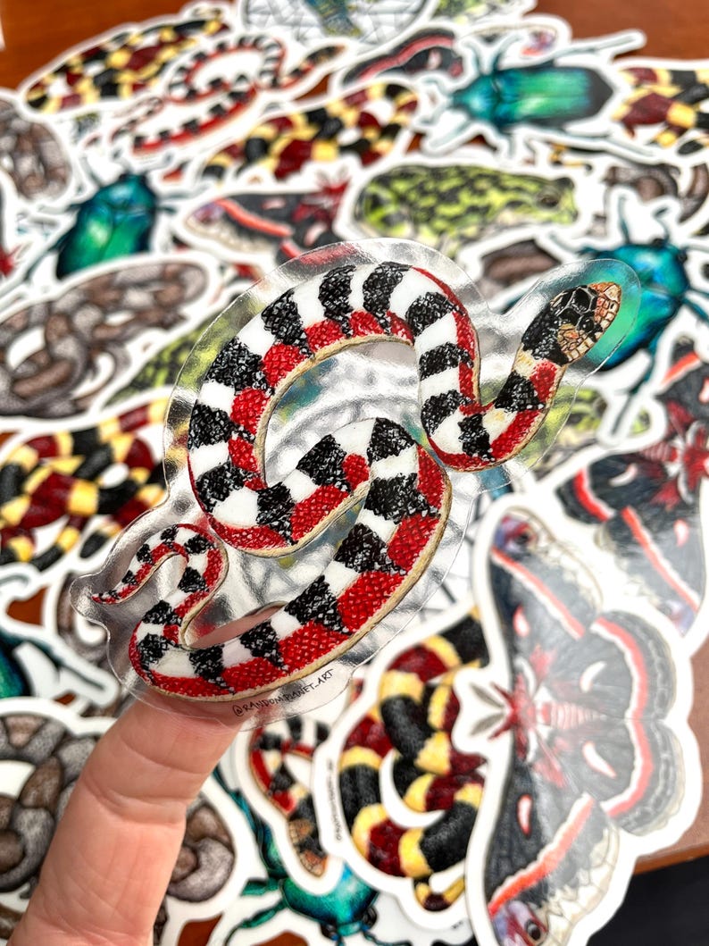 Thornscrub Hooknose Snake Sticker - Etsy