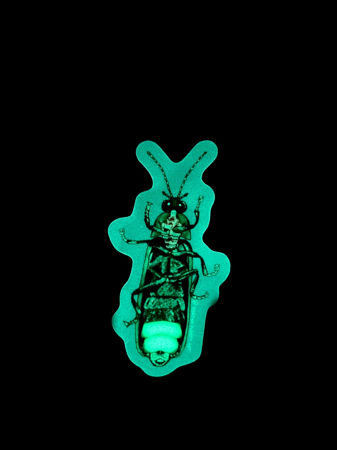 Arizona Firefly Sticker - Etsy