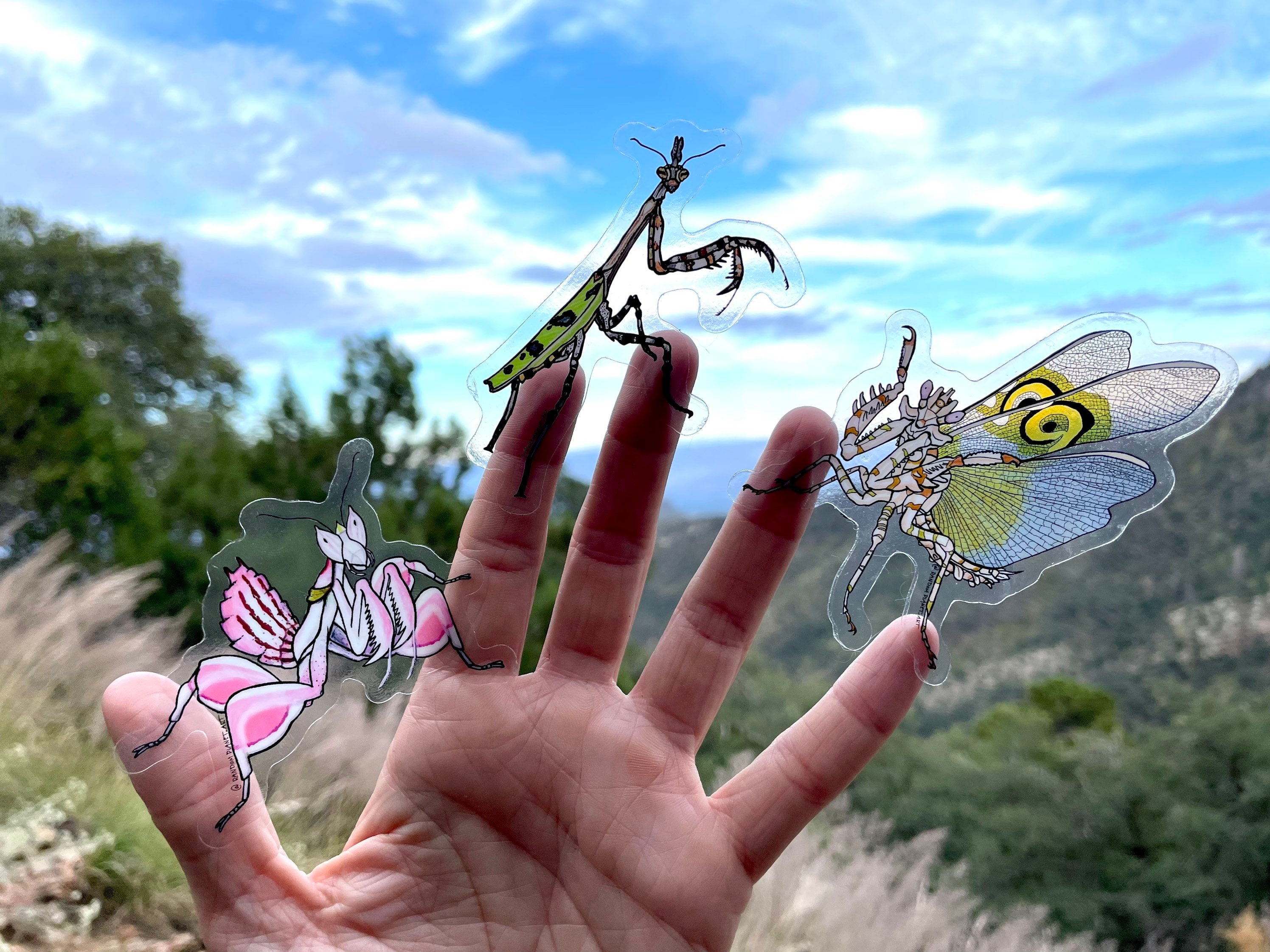 Mantis Trio Sticker Pack - Etsy