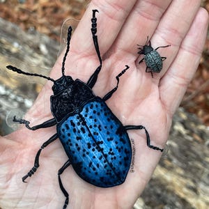 Blue Fungus Beetle Sticker - Etsy
