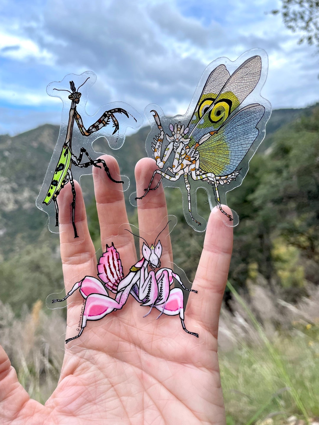 Mantis Trio Sticker Pack - Etsy