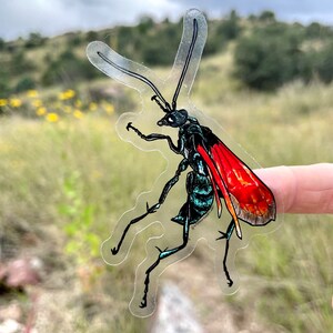 Tarantula Hawk Wasp Sticker - Etsy
