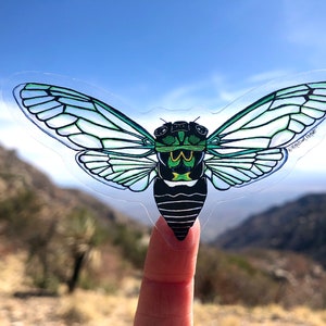 Cicada Trio Sticker Pack - Etsy