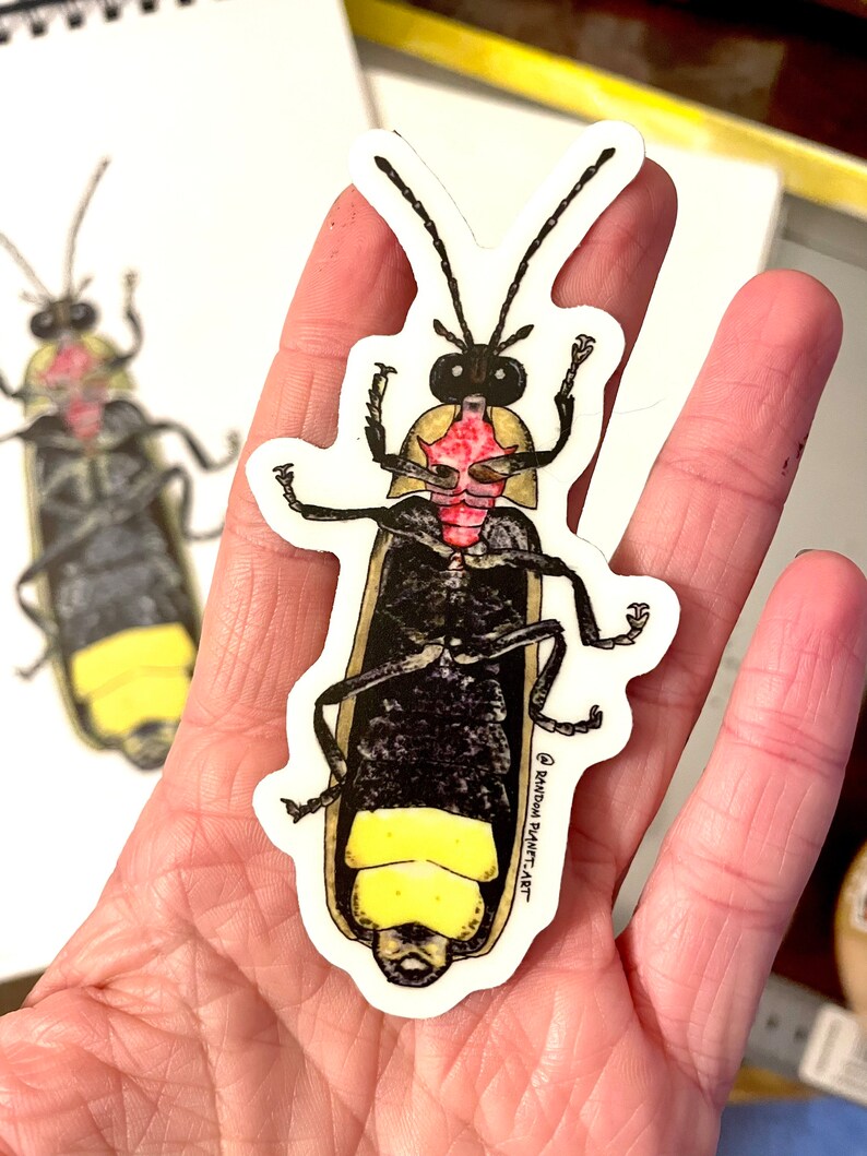 Arizona Firefly Sticker - Etsy