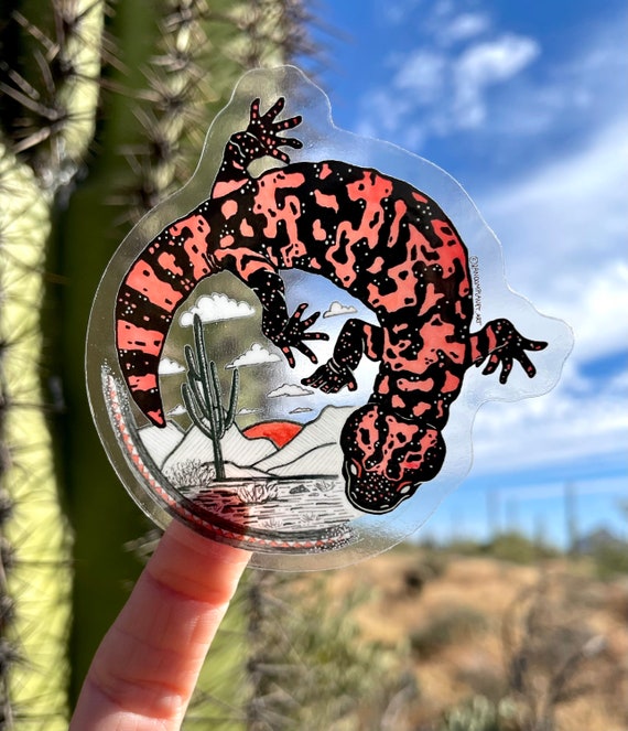 Gila Monster In The Desert