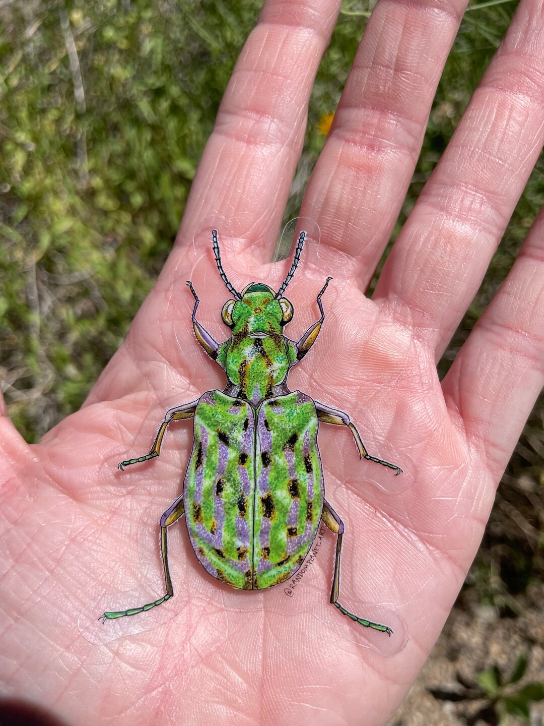 Delta Green Ground Beetle Sticker - Etsy