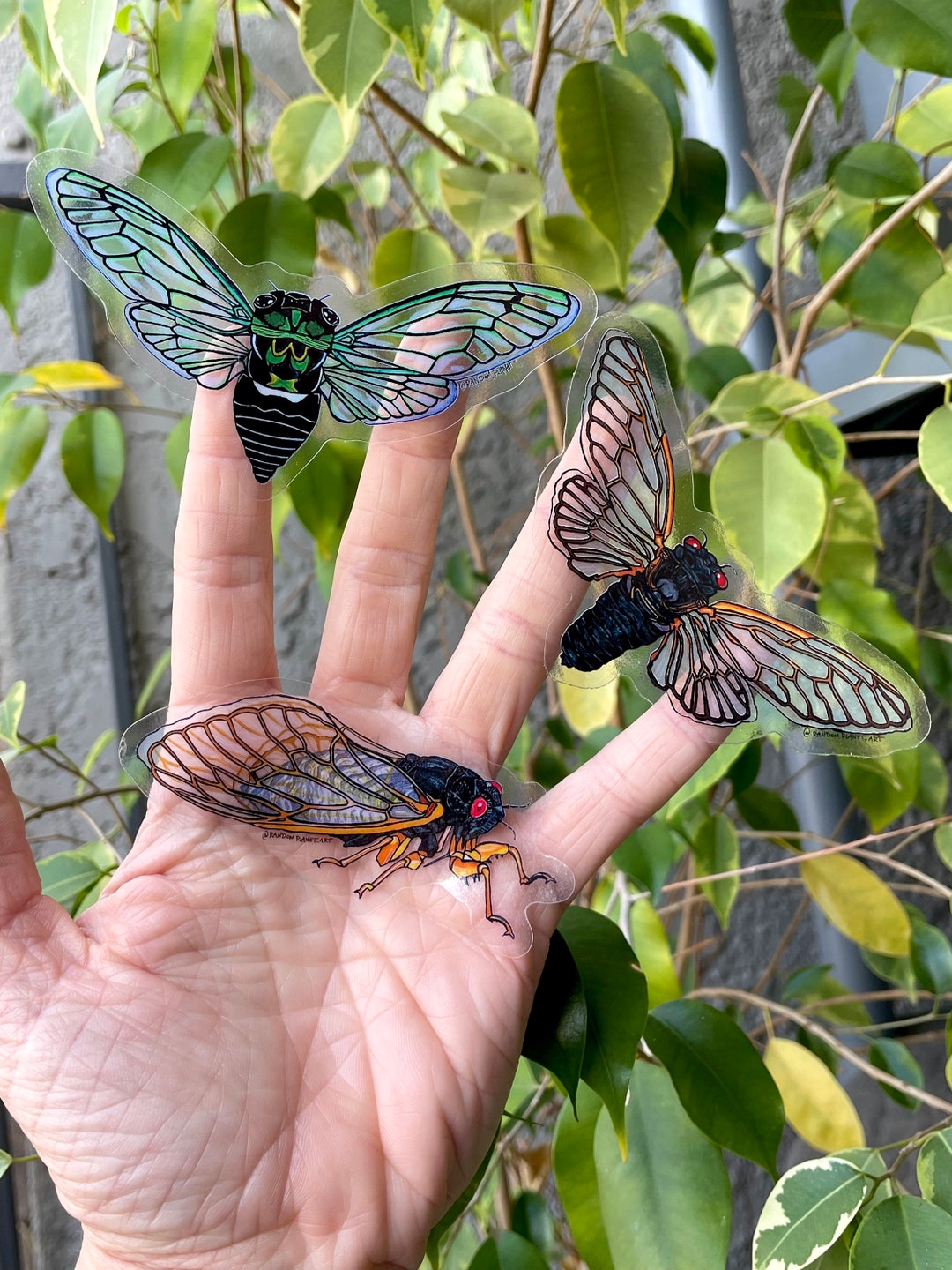 Cicada Trio Sticker Pack - Etsy