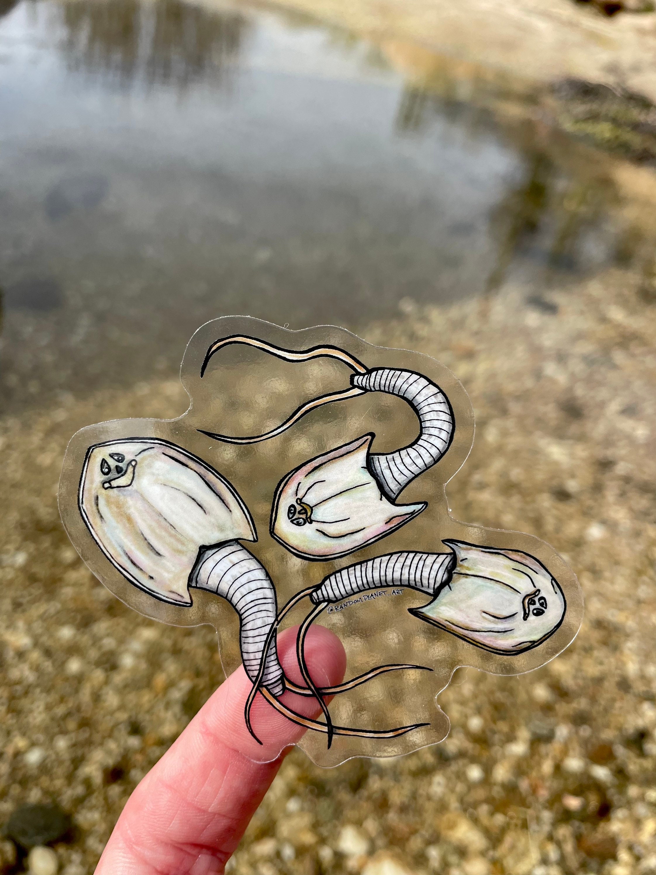 Triops Sticker. | Etsy