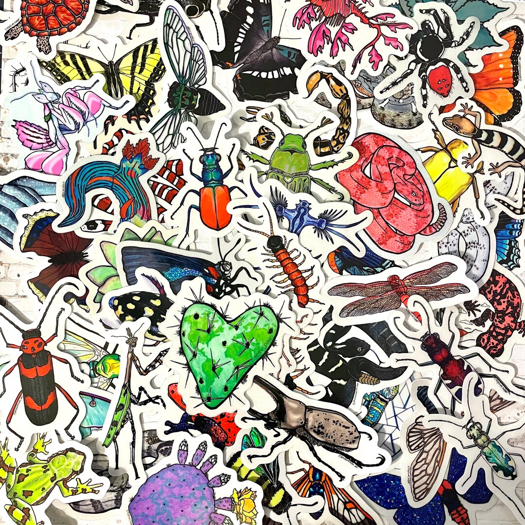 Ultimate Mystery Pack - Etsy