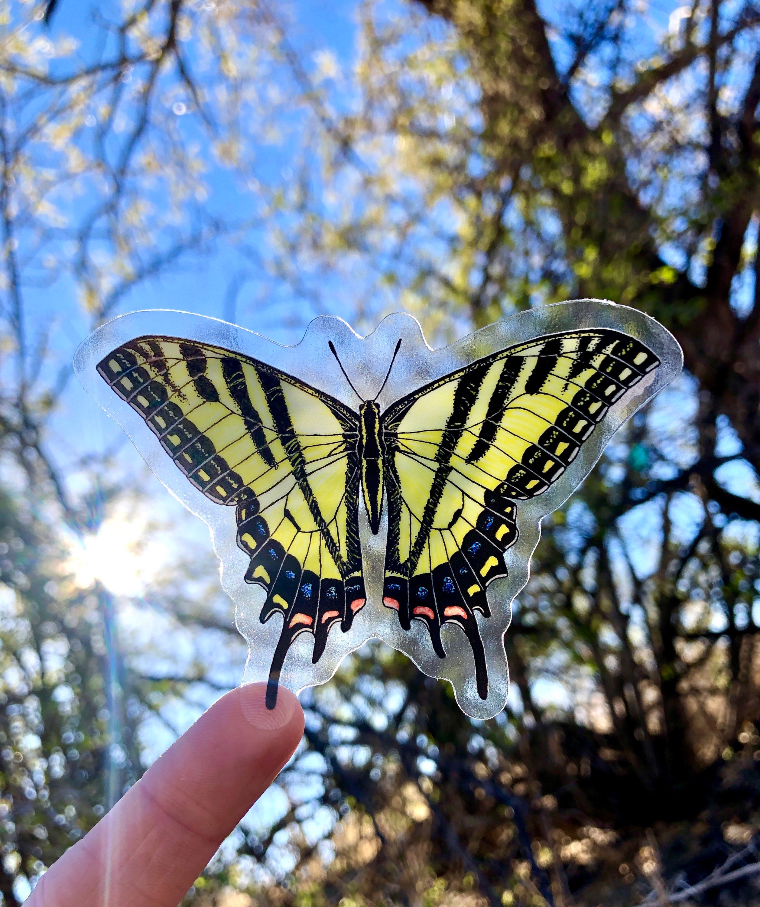 Two-tailed Swallowtail Sticker - Etsy