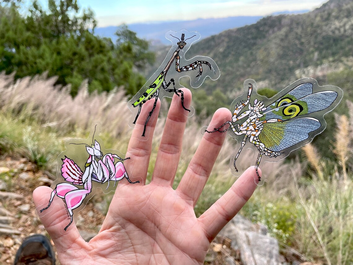 Mantis Trio Sticker Pack - Etsy