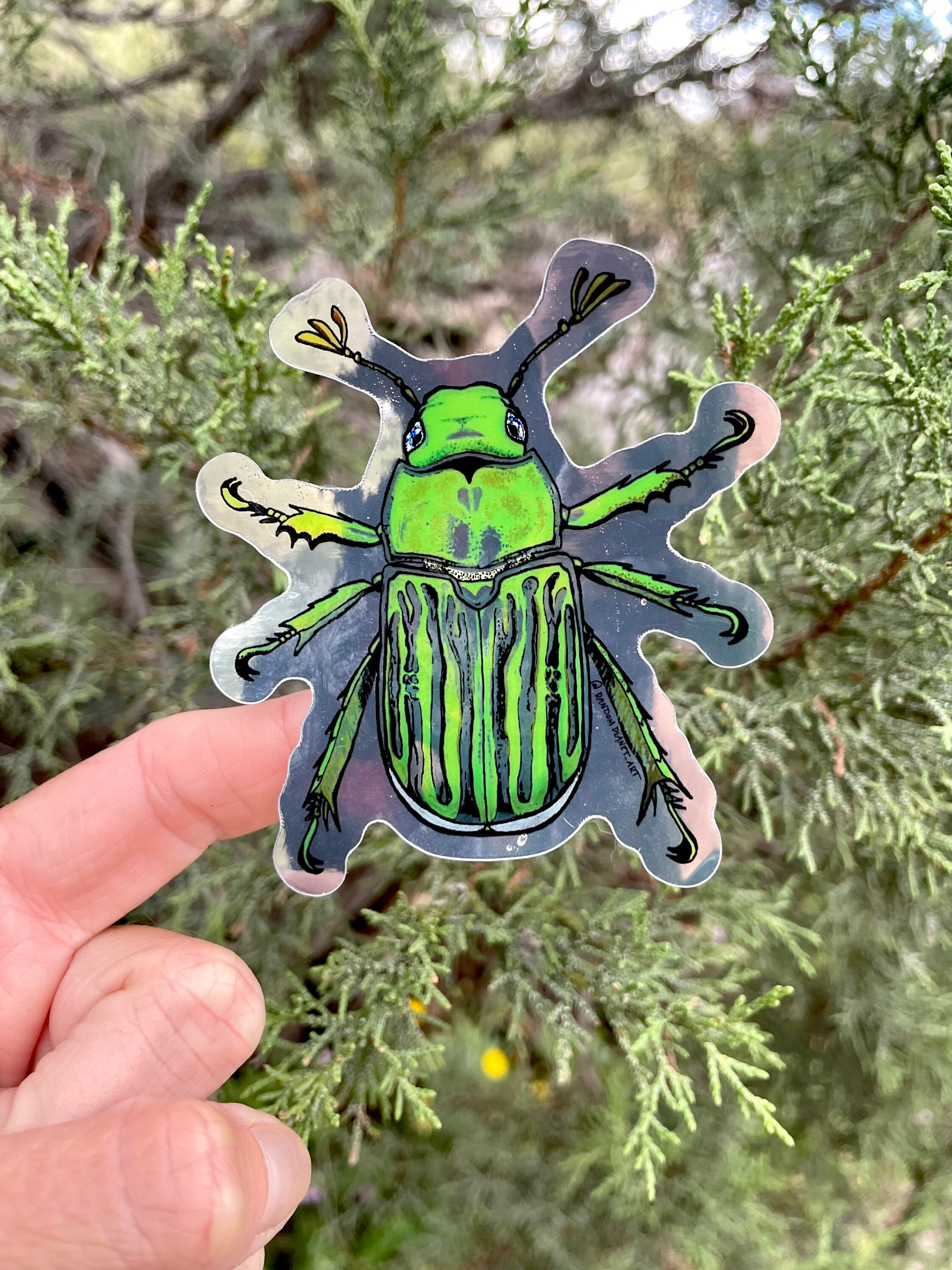 Glorious Scarab Beetle Sticker - Etsy