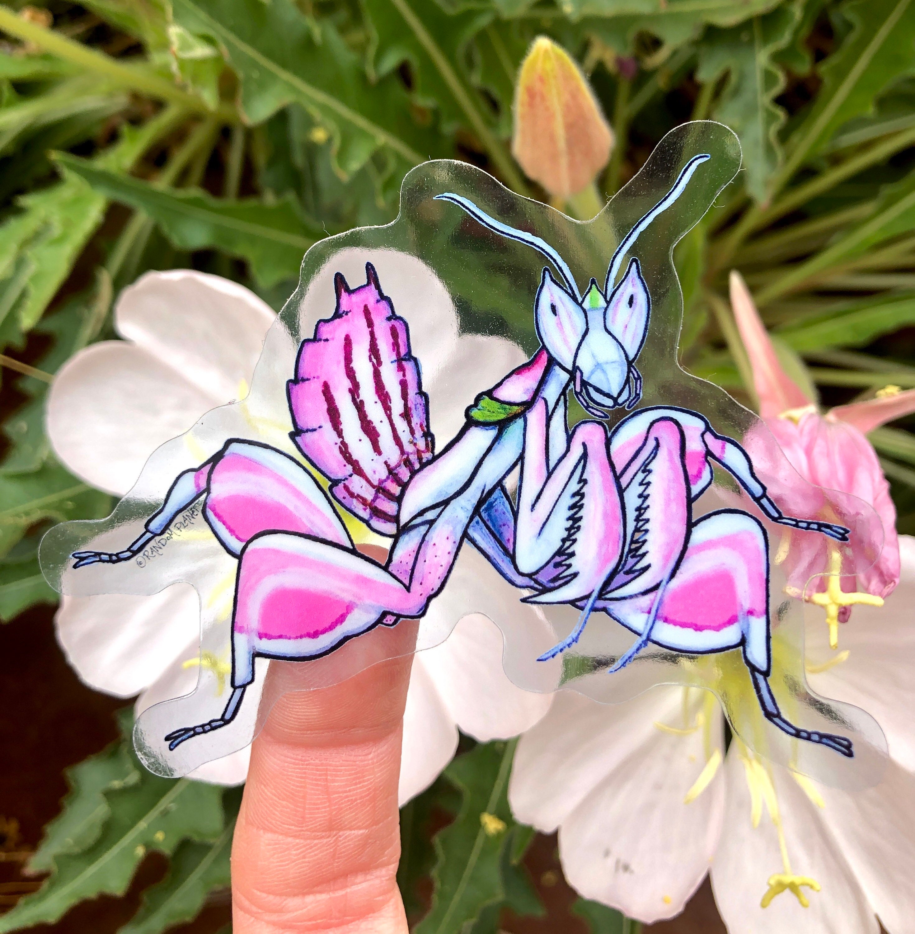 Orchid Mantis Sticker - Etsy