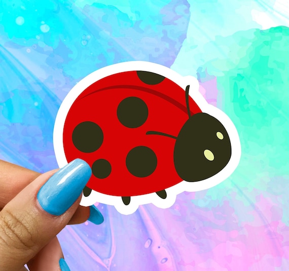 Cute Lady Bug Decal Adorable Bug Stickers Water Bottle | Etsy