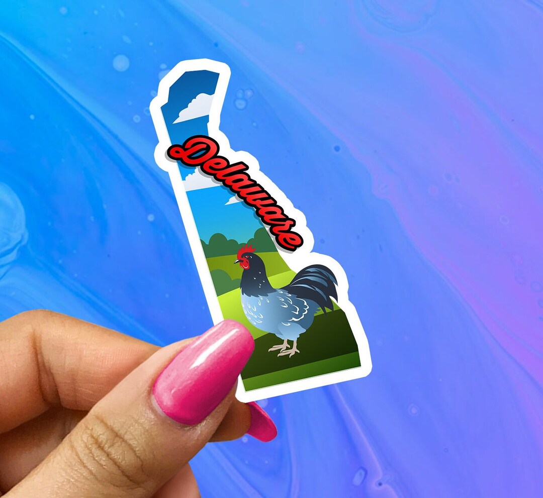 Delaware State Sticker, Delaware Decal, State Laptop Stickers ...