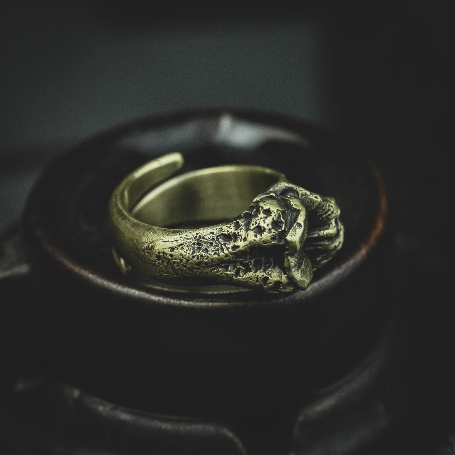 Femur Bone Ring Tibia Medical Jewelry Human Femur Bone Ring | Etsy