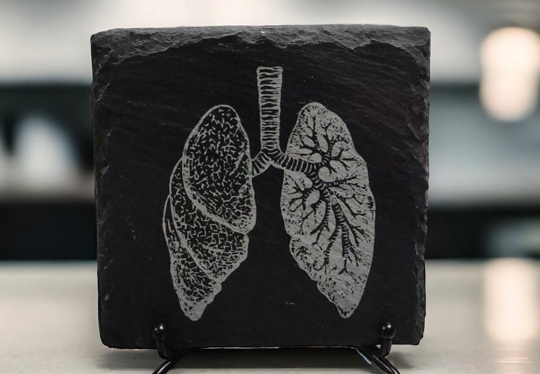 Lung Anatomy Slate Coasters: Laser Engraved Medical Art, Set of 4 - Etsy