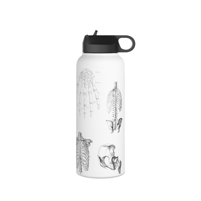 Human Skeleton Anatomy Water Bottle Rad Tech Gifts X-ray - Etsy