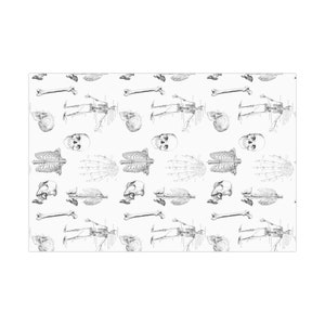 Human Skeleton Anatomy Wrapping Paper, Rad Tech Gifts, X-ray Tech ...