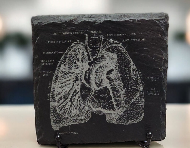 Heart Anatomy Slate Coasters: Laser-engraved Medical Gift, Set of 4 - Etsy