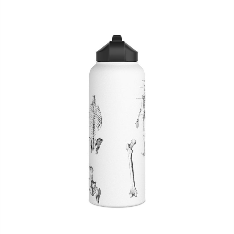 Human Skeleton Anatomy Water Bottle Rad Tech Gifts X-ray - Etsy