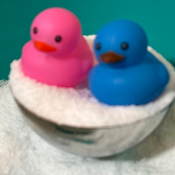 Duck Gender Reveal - Etsy