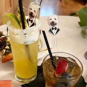 Custom Pet Stir Sticks, Double-sided Dog Wedding Stir Stick, Pet ...