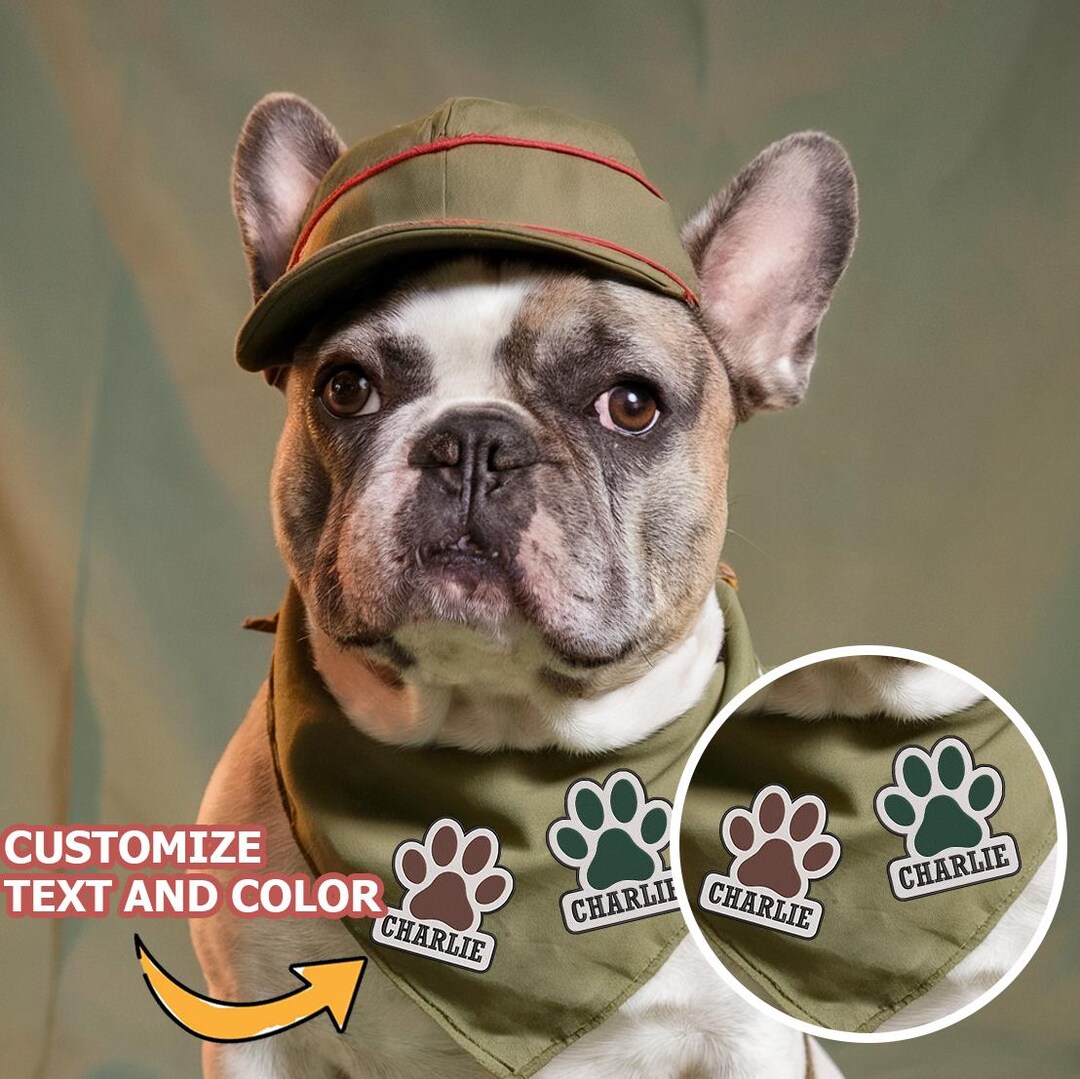 Custom Pet Name Patch, Dog Paw Print Patch, Embroidered Pet Name Tag ...